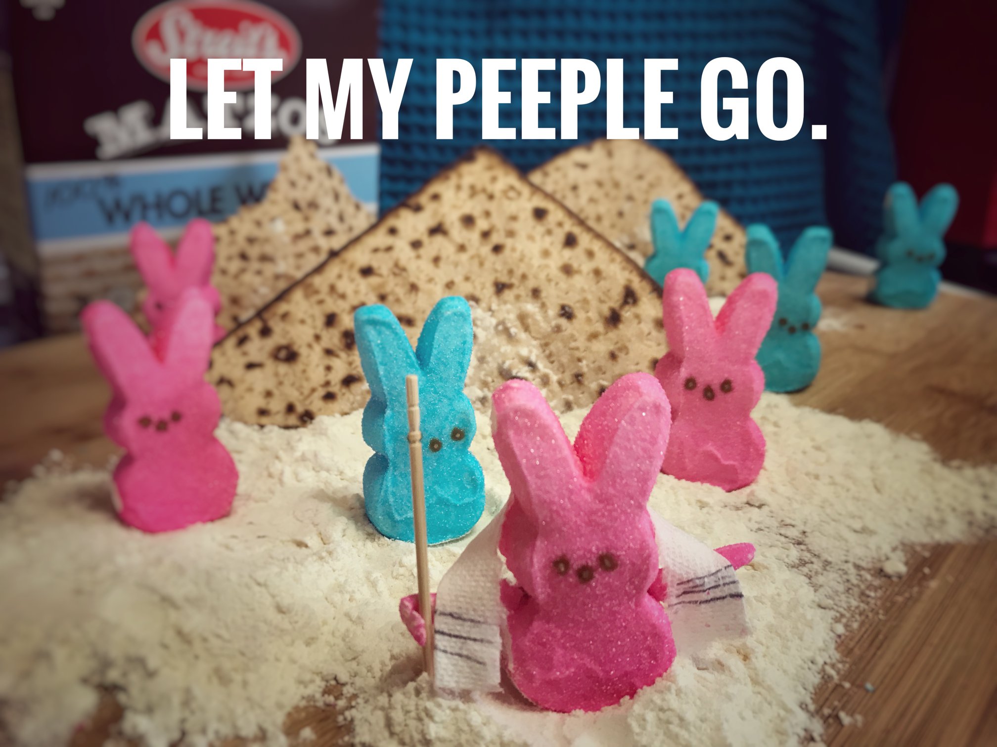 Bird Punks, Ball Parks & Passover Peeps - The Statesider