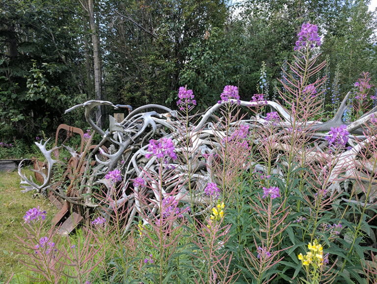 Utqiagvik Alaska & the North Slope: Welcome to the Land - The Statesider