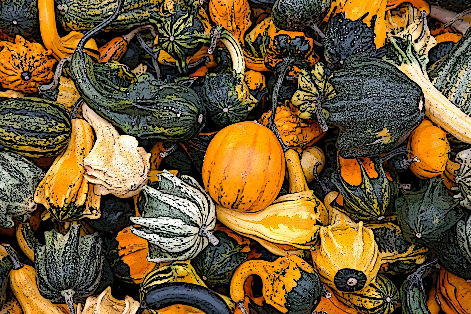 The Pumpkin Spice Newsletter - The Statesider