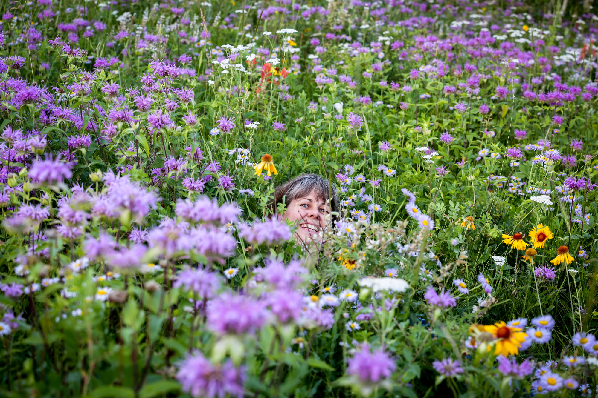 The Road to Columbine Heaven - The Statesider